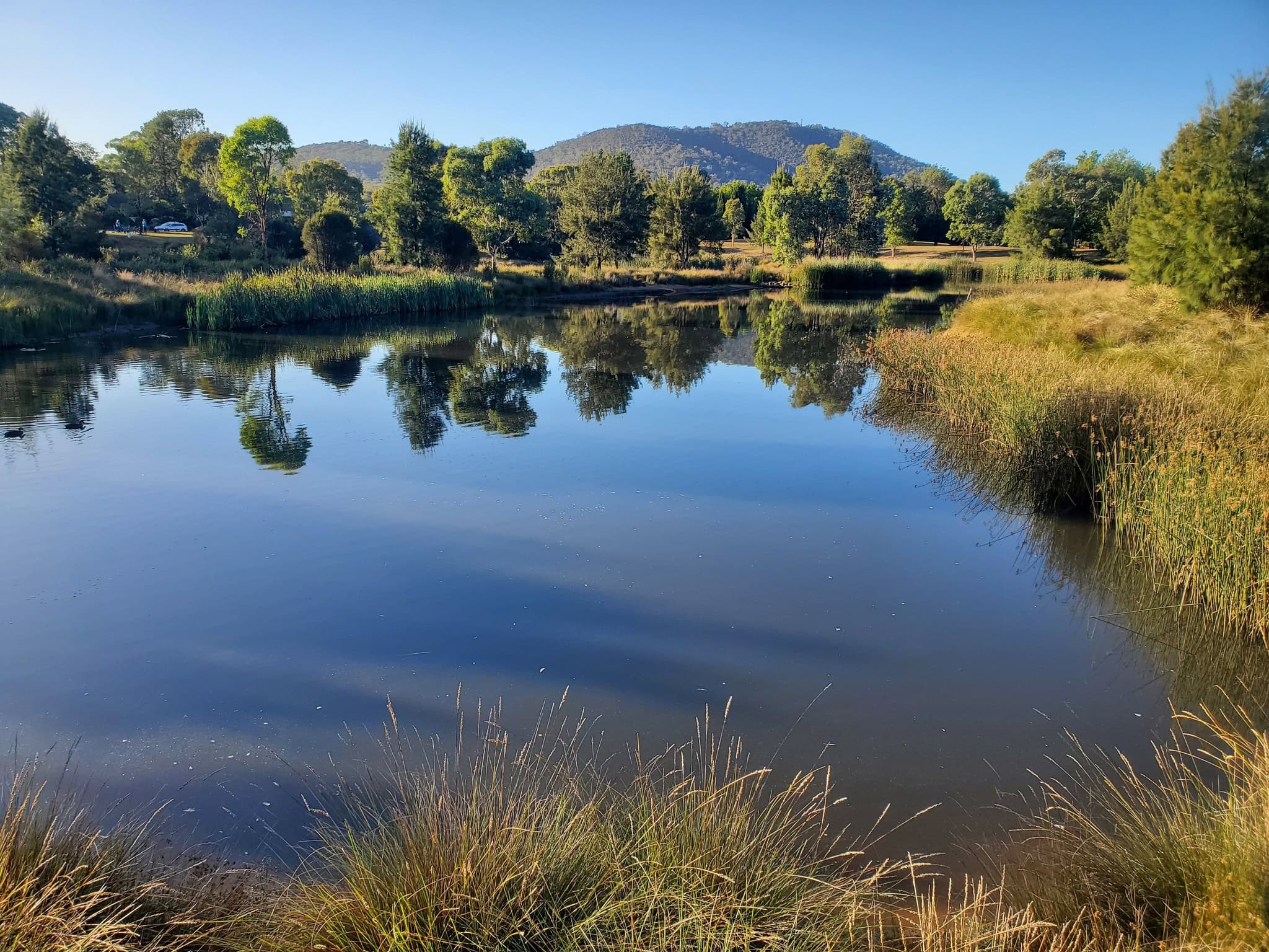The 10 Best Suburbs to Live in Canberra | Sitchu