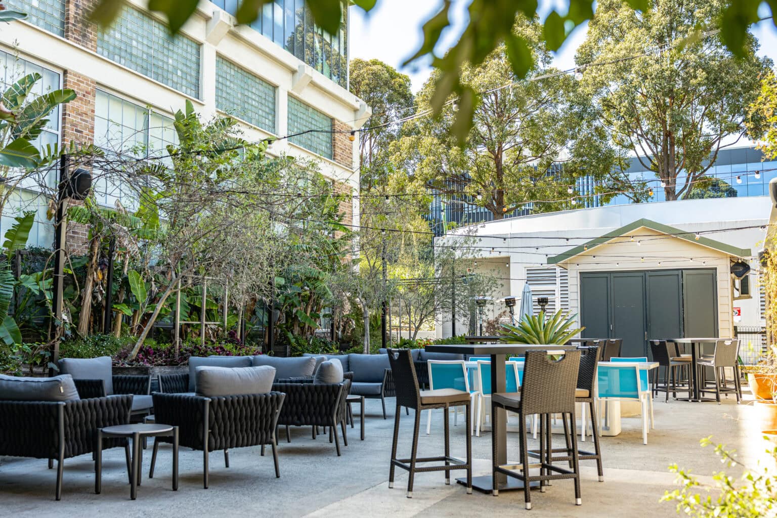 The Best Dog-friendly Restaurants in Sydney | Sitchu