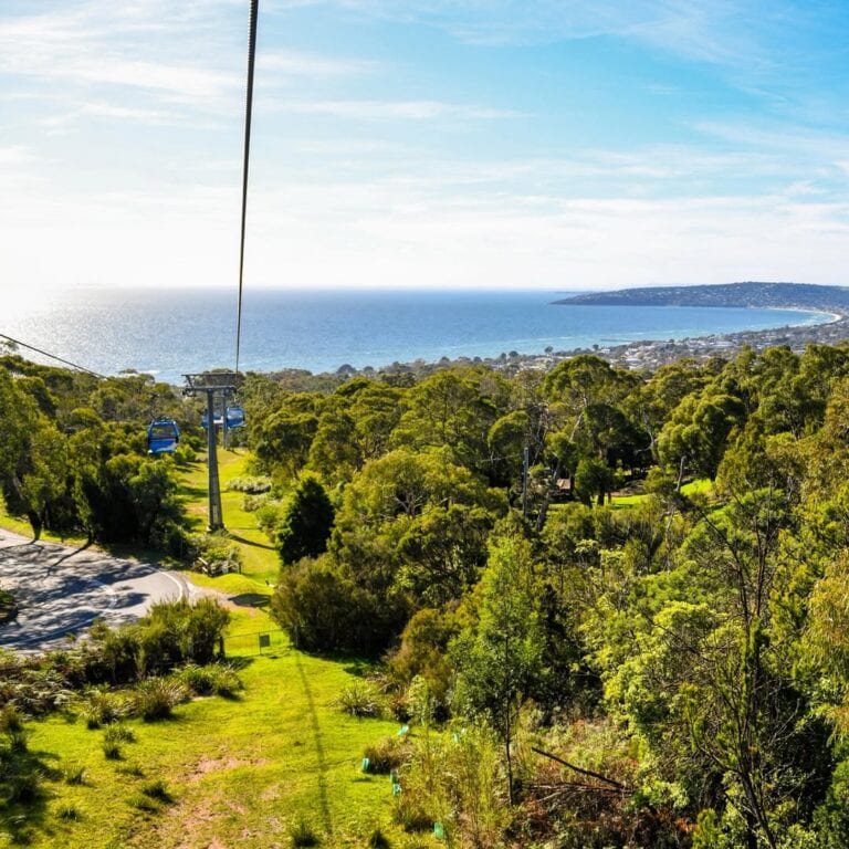 The Best Walks in Mornington Peninsula for a Dreamy Stroll