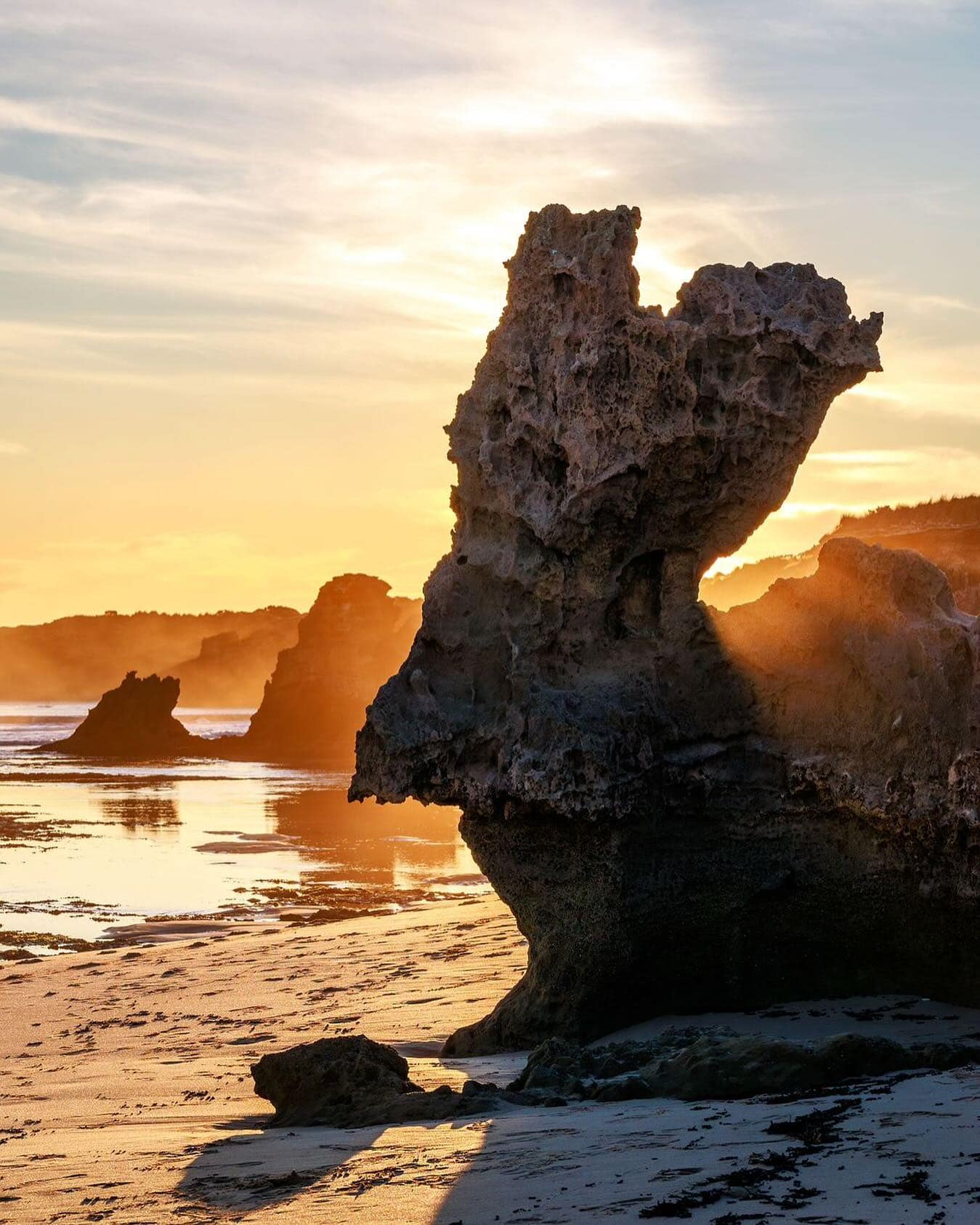 The Best Walks in Mornington Peninsula for a Dreamy Stroll