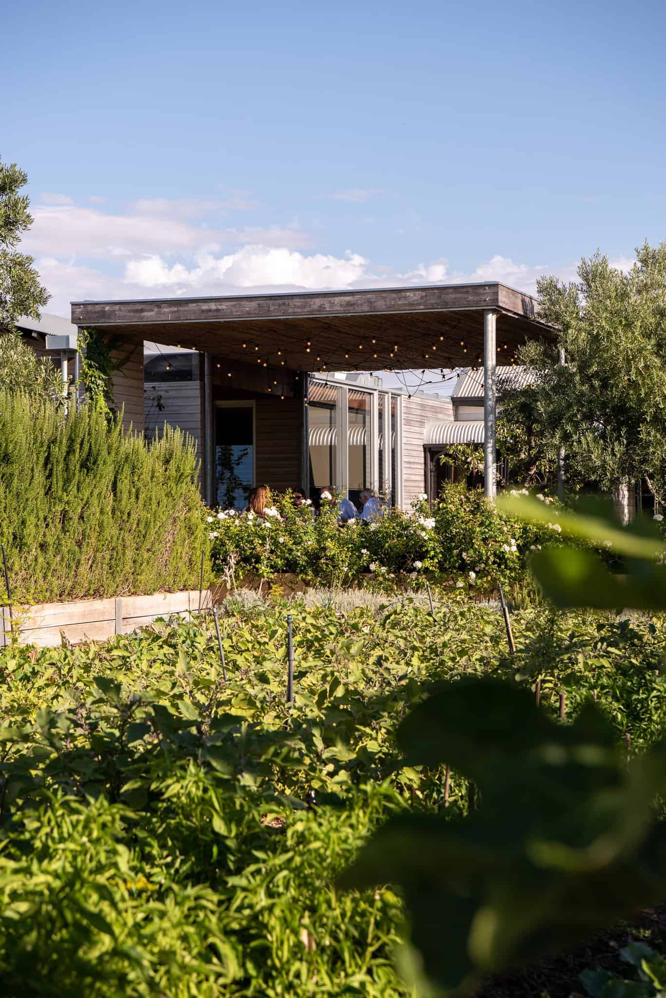 The Best Vegetarian Restaurants Perth | Sitchu