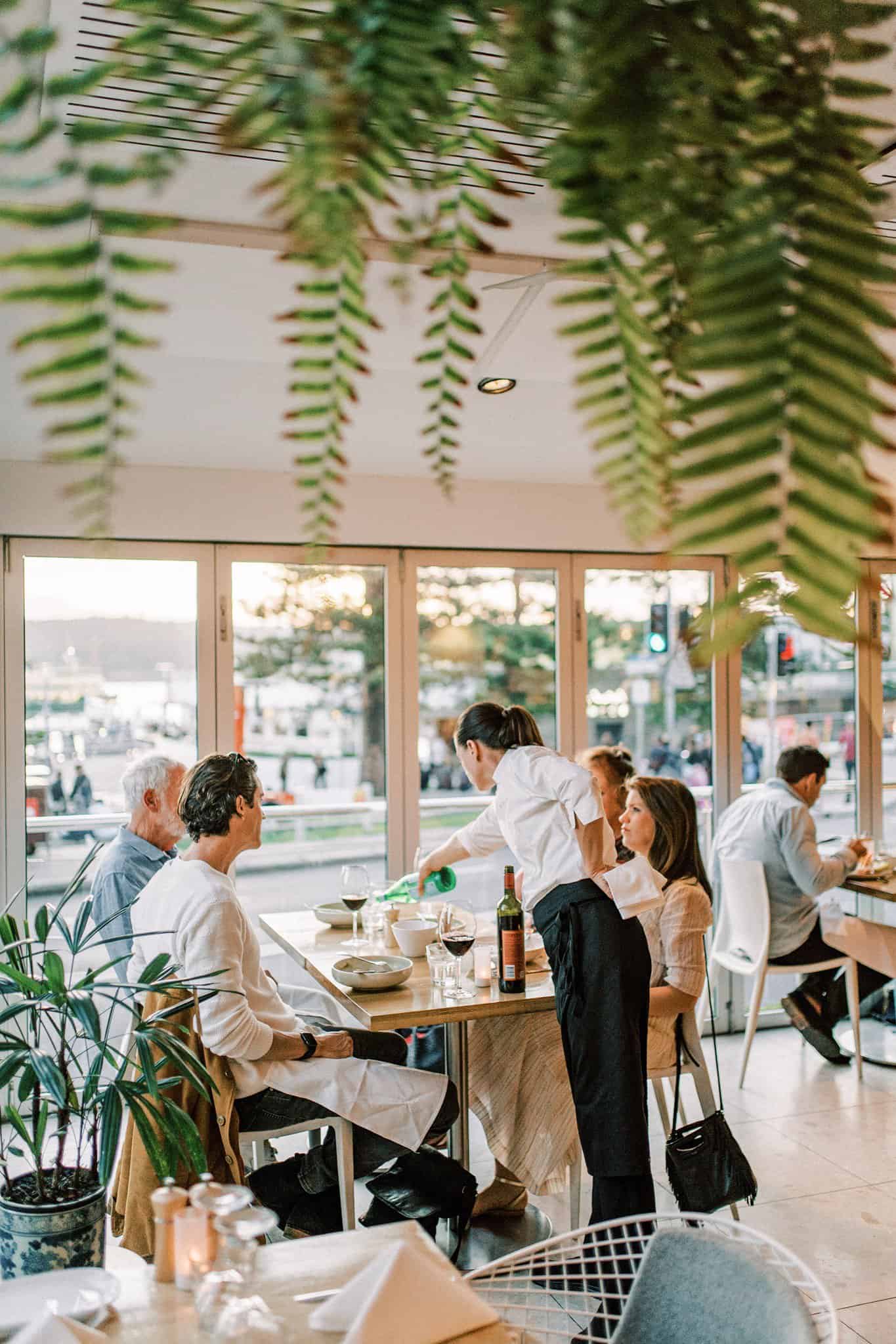 The Best BYO Restaurants in Sydney | Sitchu