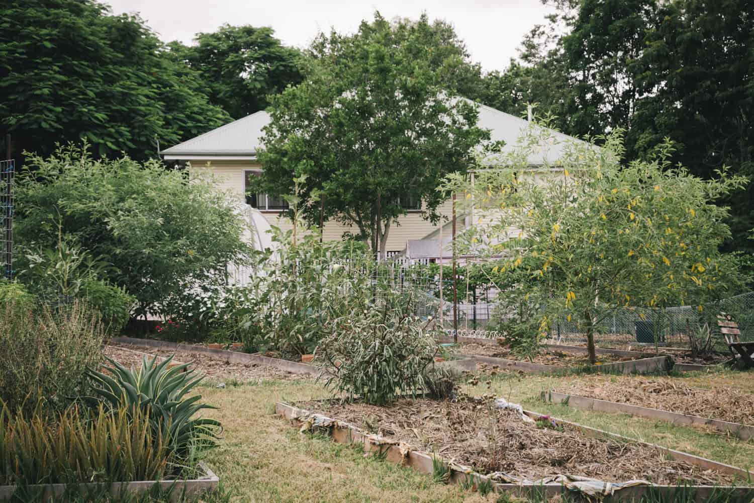 Brisbane's 8 Green Suburbs to Call Home | Sitchu