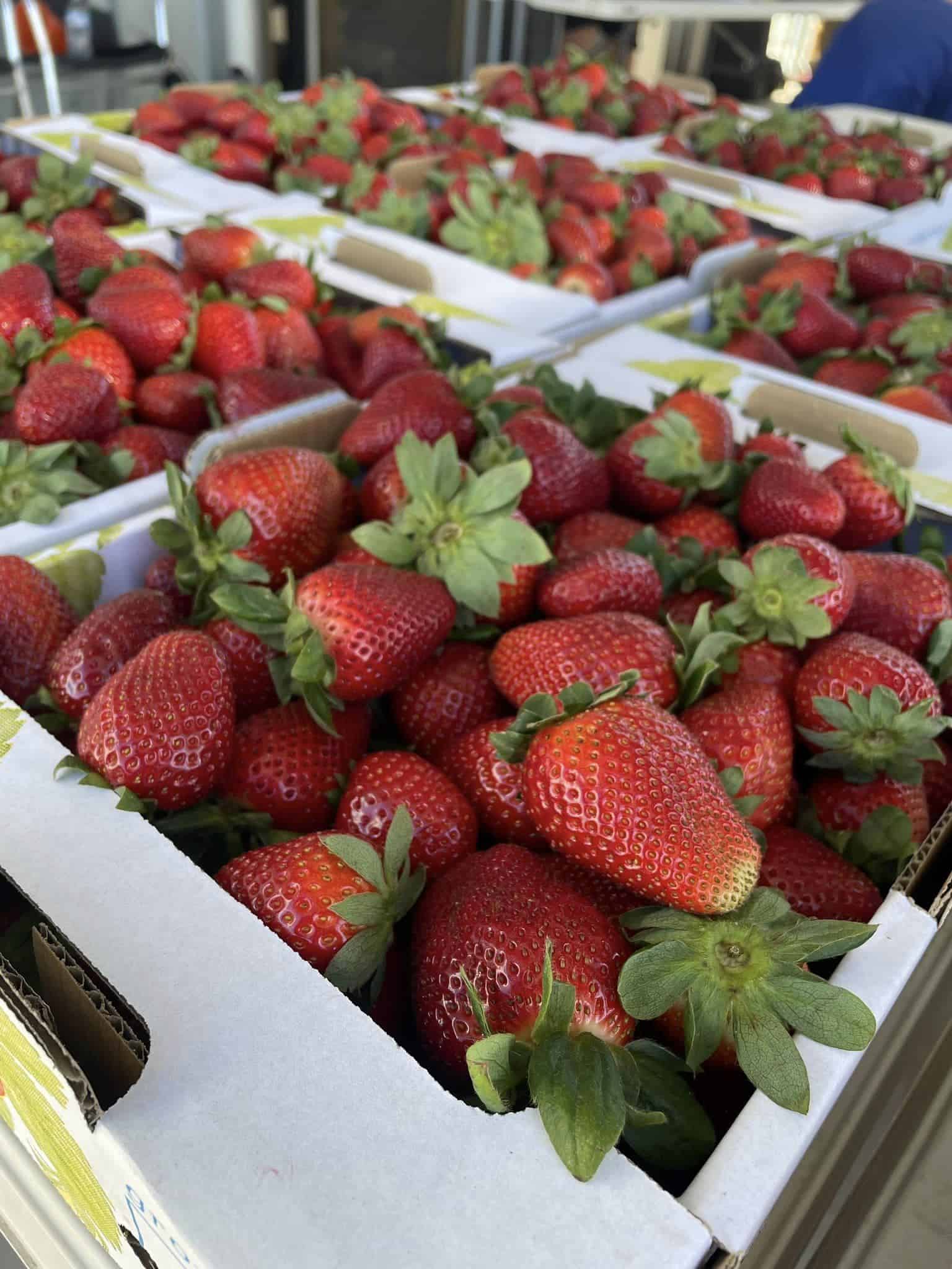 The Sweetest Spots for Strawberry Picking in Perth