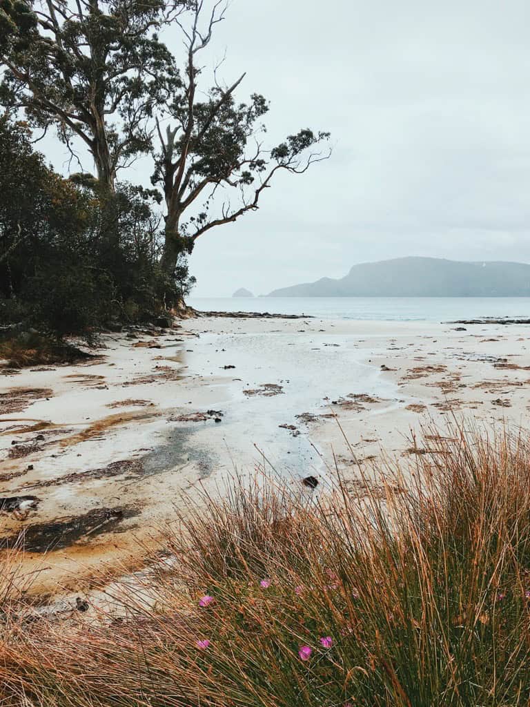The Best Things to do on Bruny Island for the Perfect Day Trip