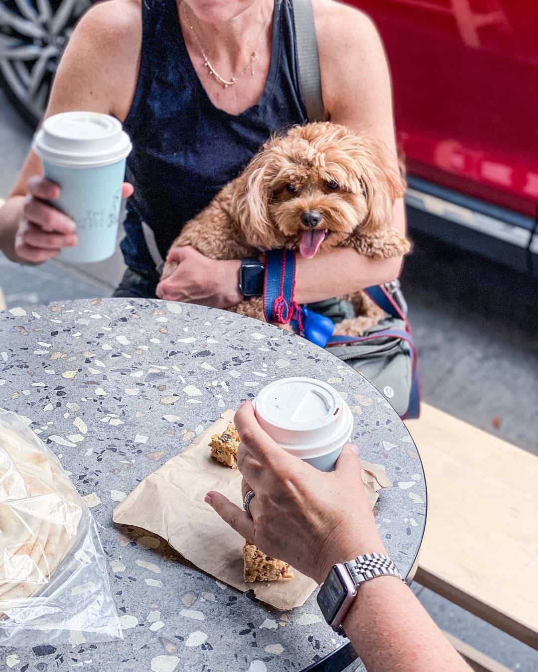 The Best Cafes in Balmain | Sitchu