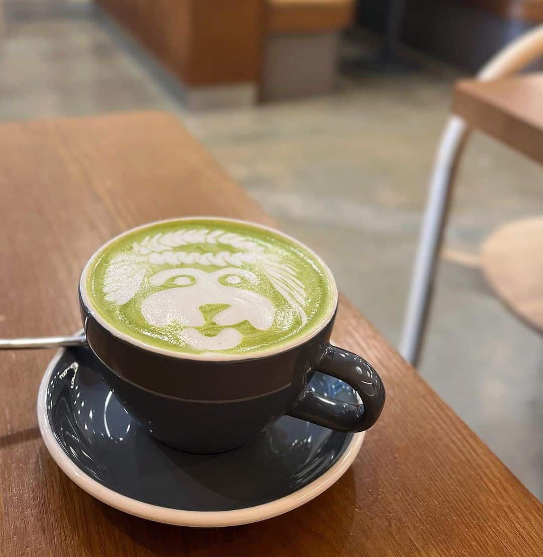 Where to Find the Best Matcha in Adelaide | Sitchu
