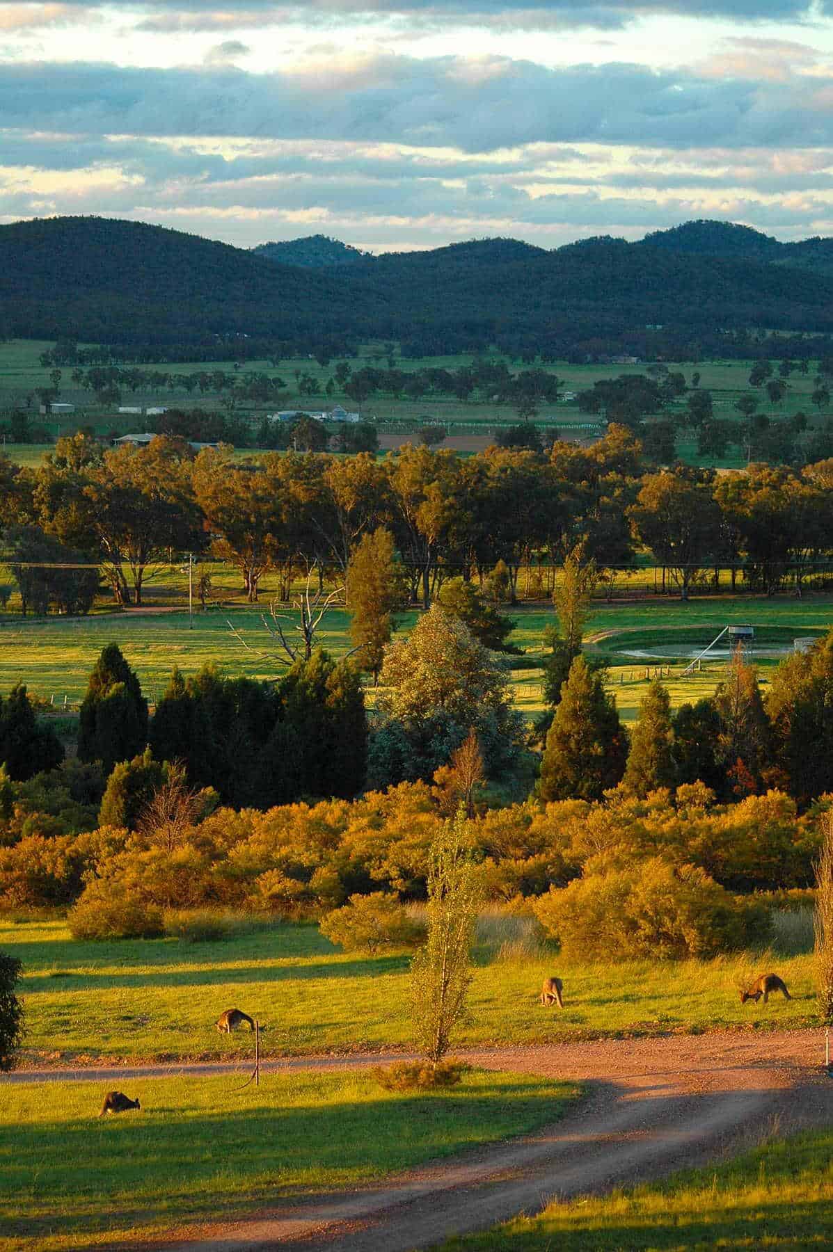 Things To Do In Mudgee | Sitchu