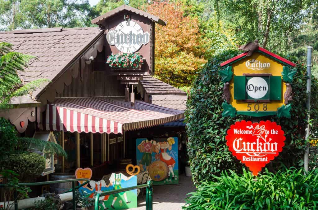 Things to do in the Dandenong Ranges | Sitchu