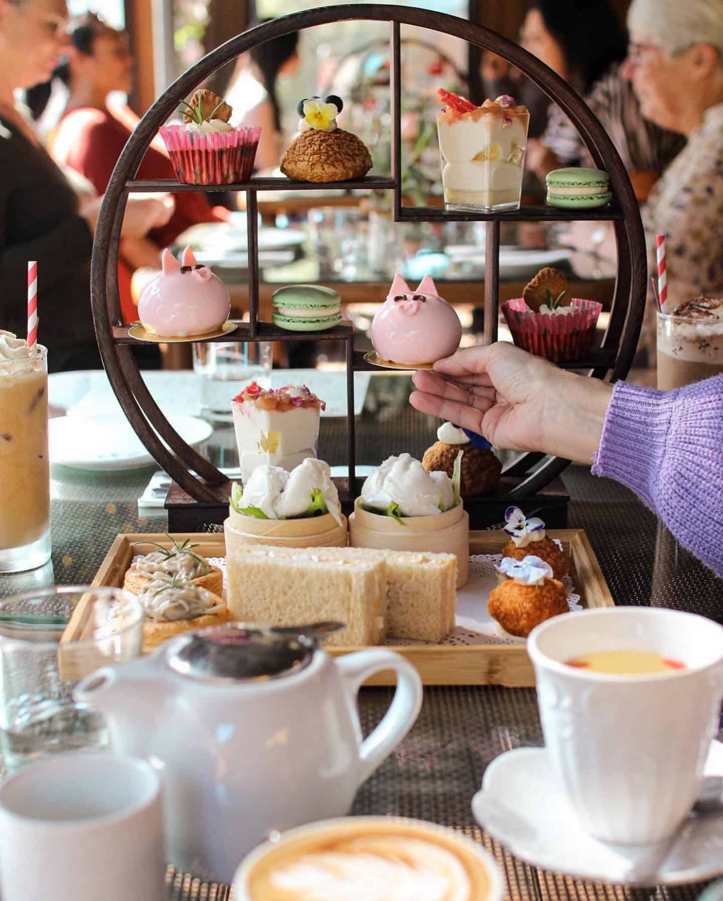 Things to do in the Dandenong Ranges | Sitchu