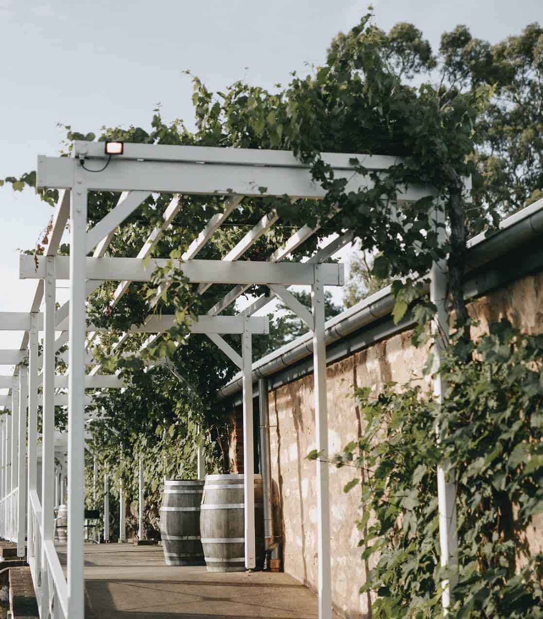 The 8 Best Restaurants in the Barossa Valley | Sitchu