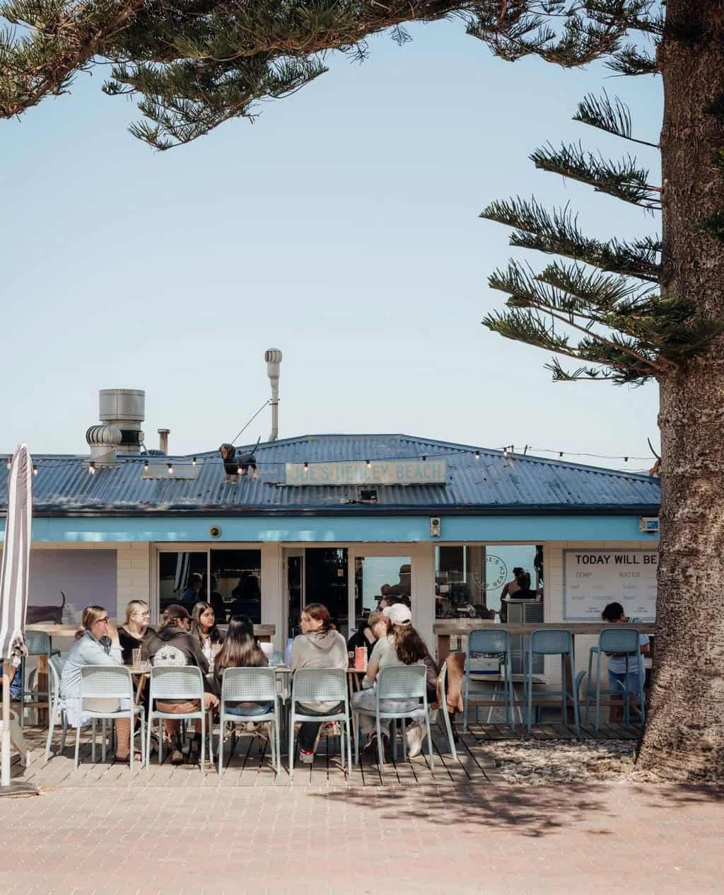 The Best Seafood Restaurants in Adelaide | Sitchu