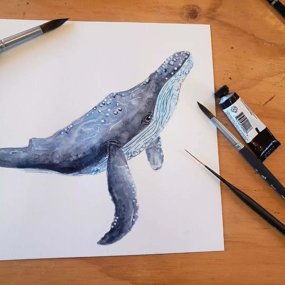 The Best Creative Classes in Hobart | Sitchu