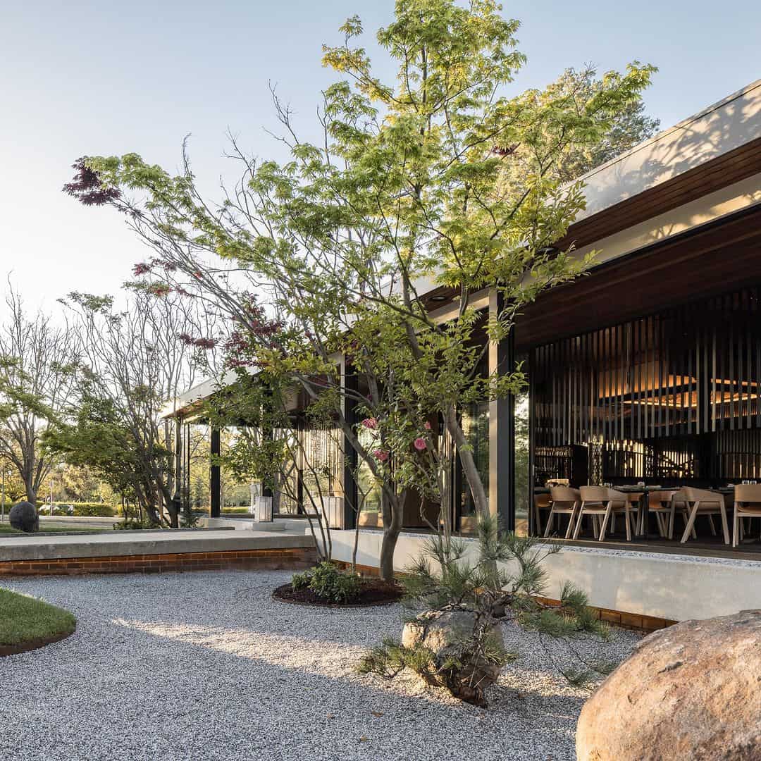 Best Lunch in Canberra | Sitchu