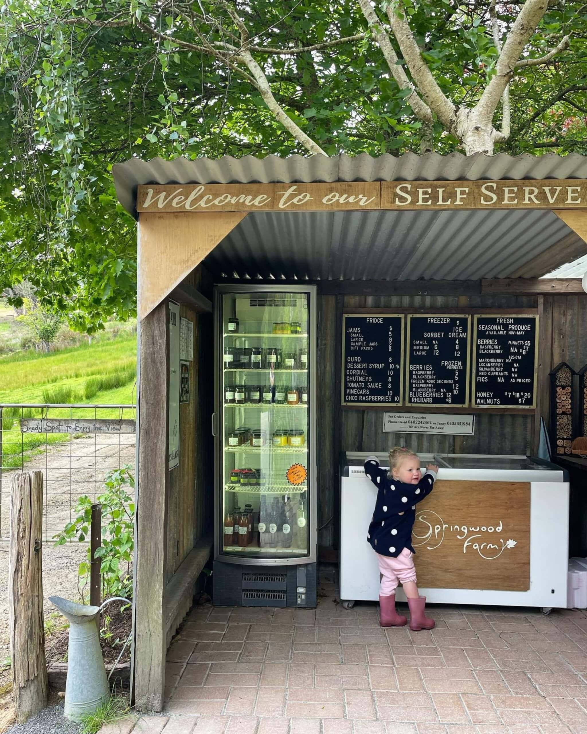 Best Things to Do in the Adelaide Hills | Sitchu