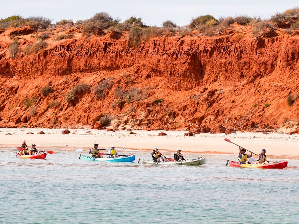 WA’s Indigenous Cultural Experiences: Where to Learn and Immerse ...