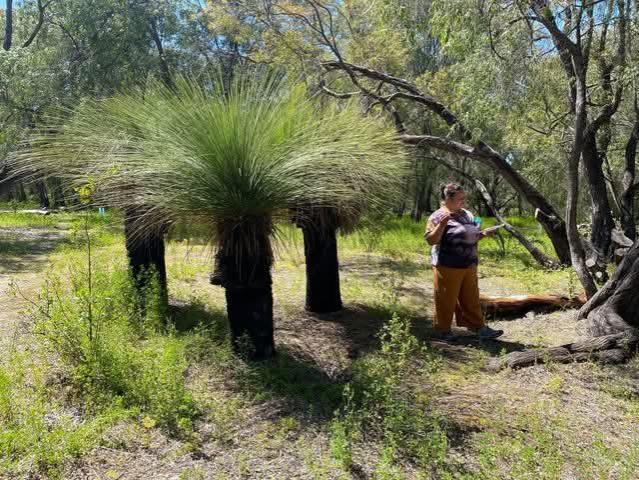 WA’s Indigenous Cultural Experiences: Where to Learn and Immerse ...