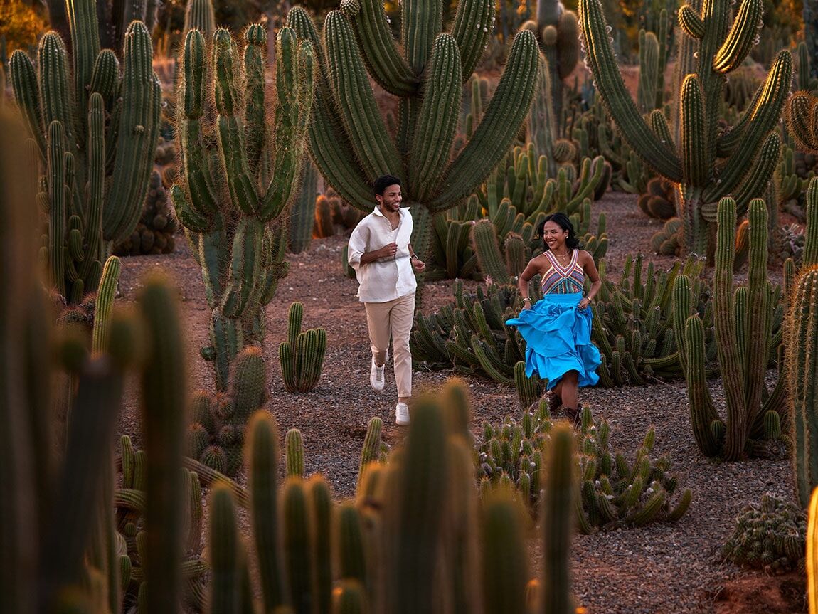 The Best Gardens in Melbourne & Victoria