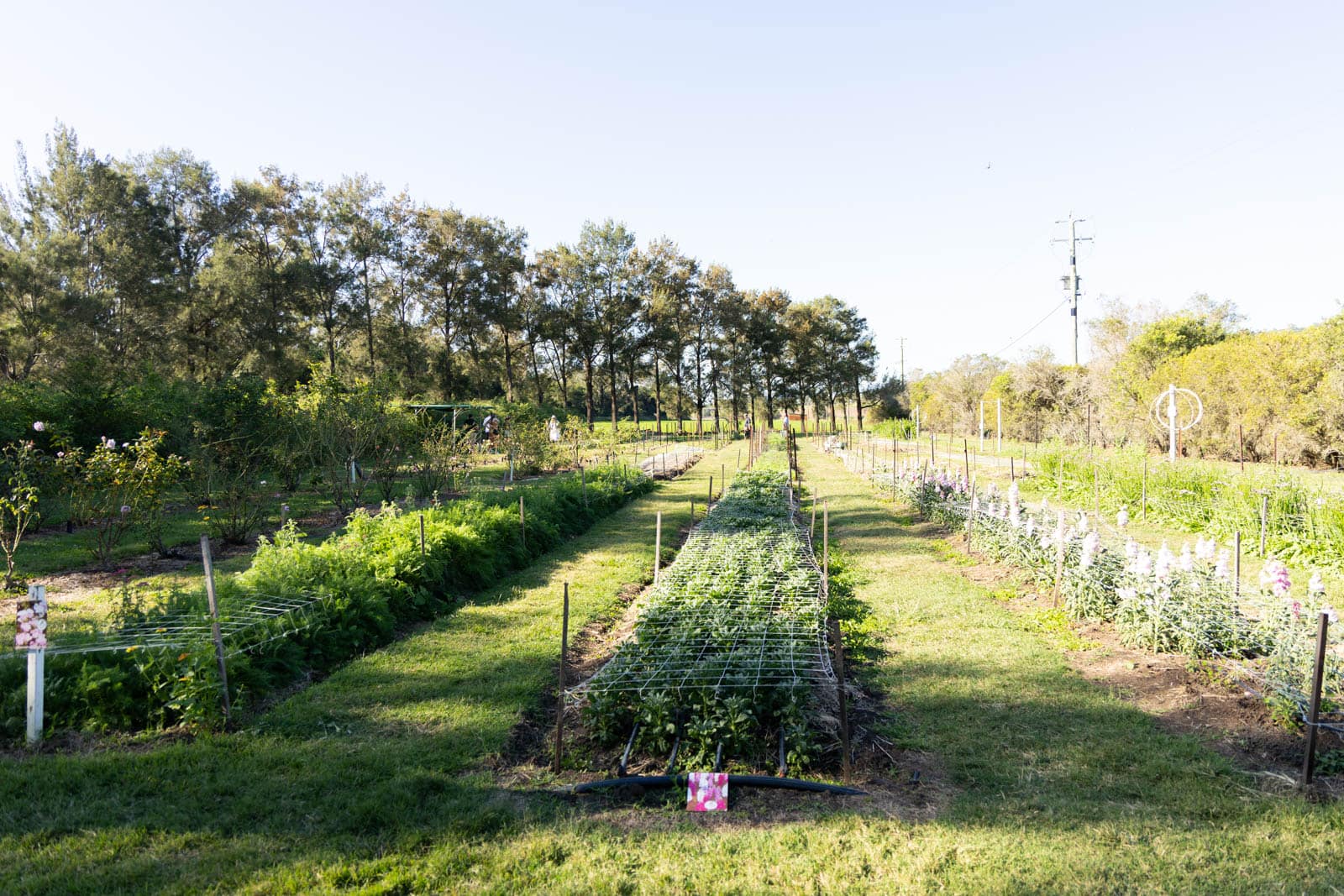 The Best Things To Do in the Scenic Rim