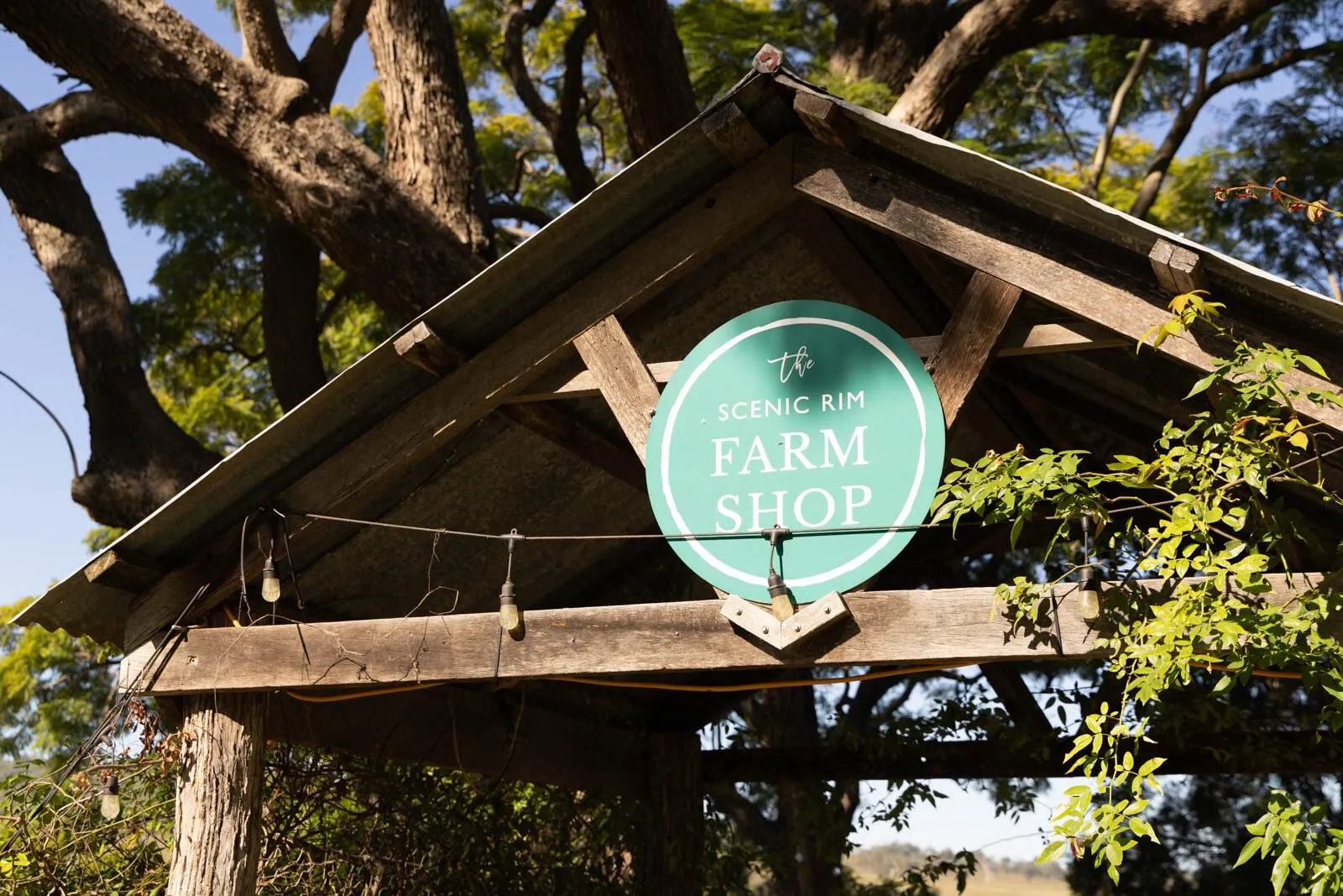 The Best Things To Do in the Scenic Rim