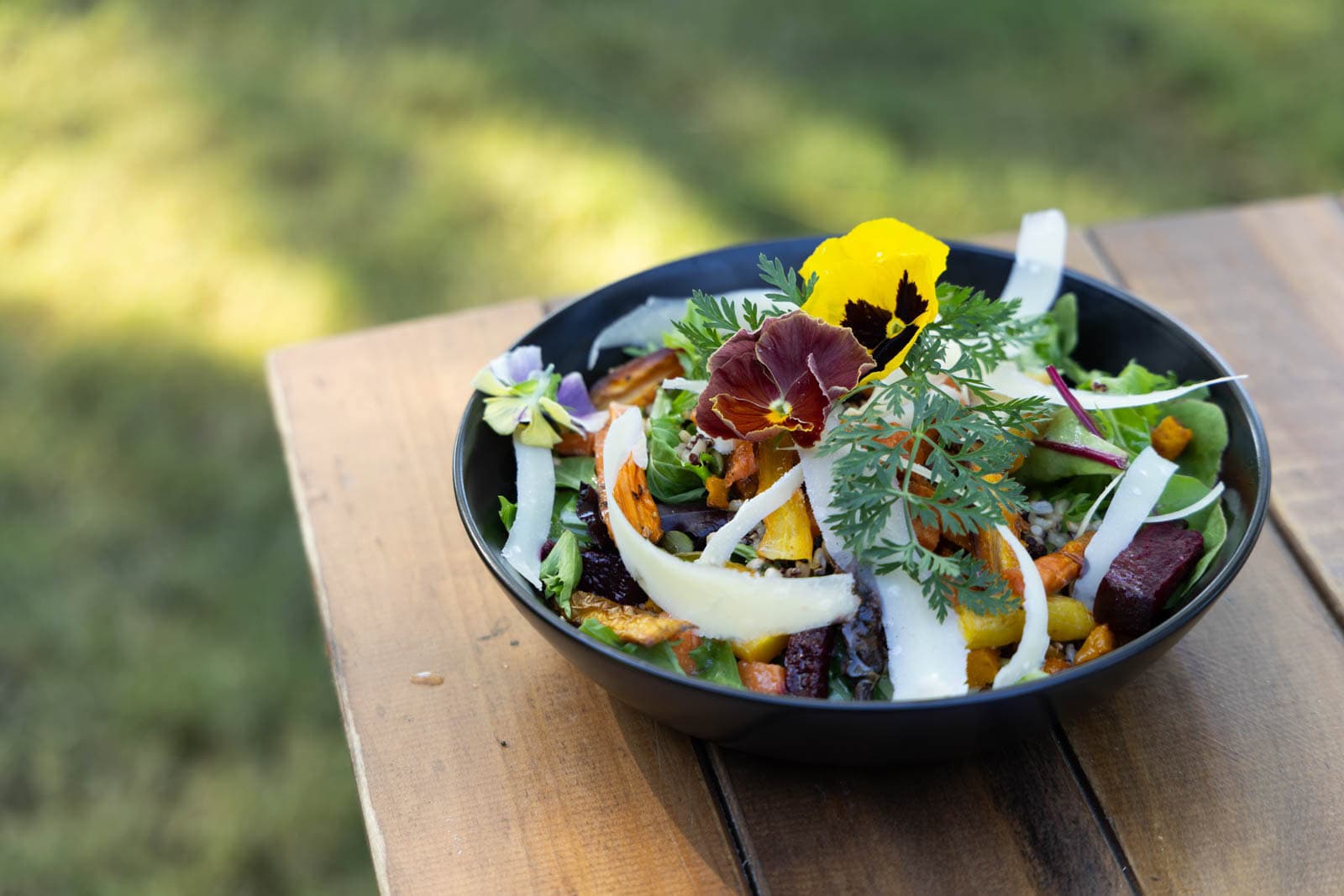 The Best Things To Do in the Scenic Rim