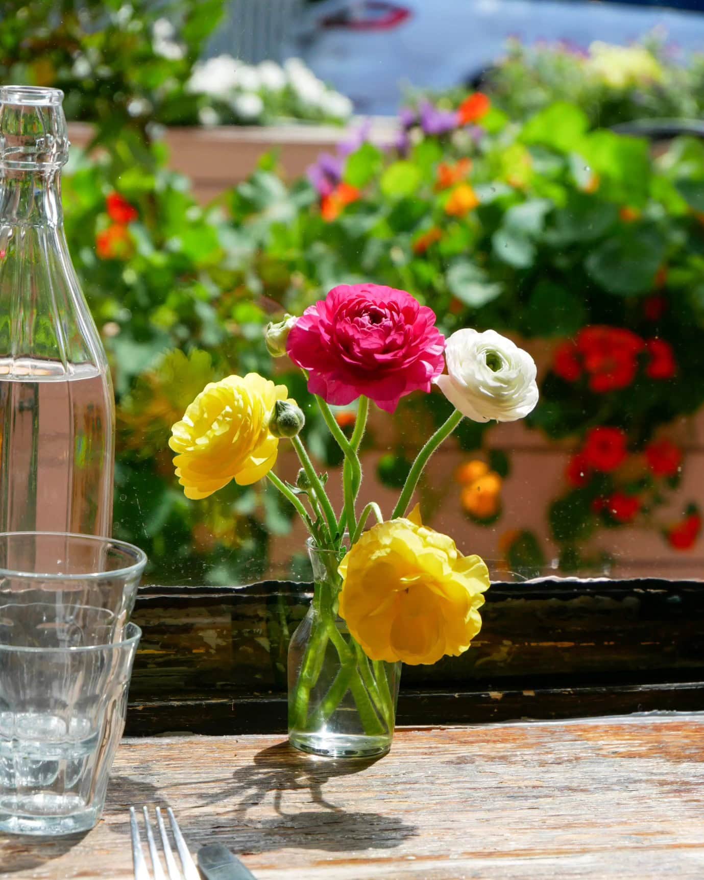 Seddon: Melbourne’s Coolest Little Suburb with Big Local Energy | Sitchu