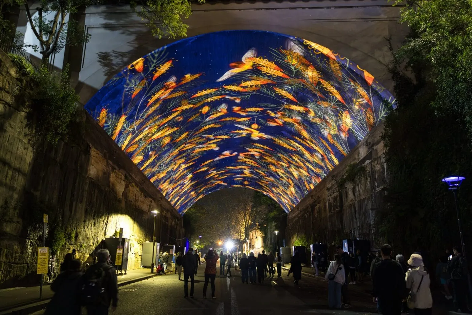 Vivid Sydney 2026: The Best Experiences to Book Now