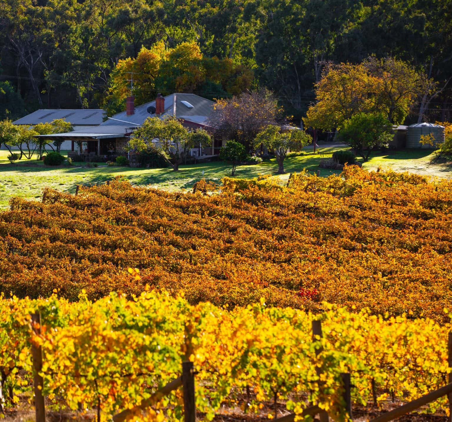 The Best Wineries in Clare Valley | Sitchu Adelaide