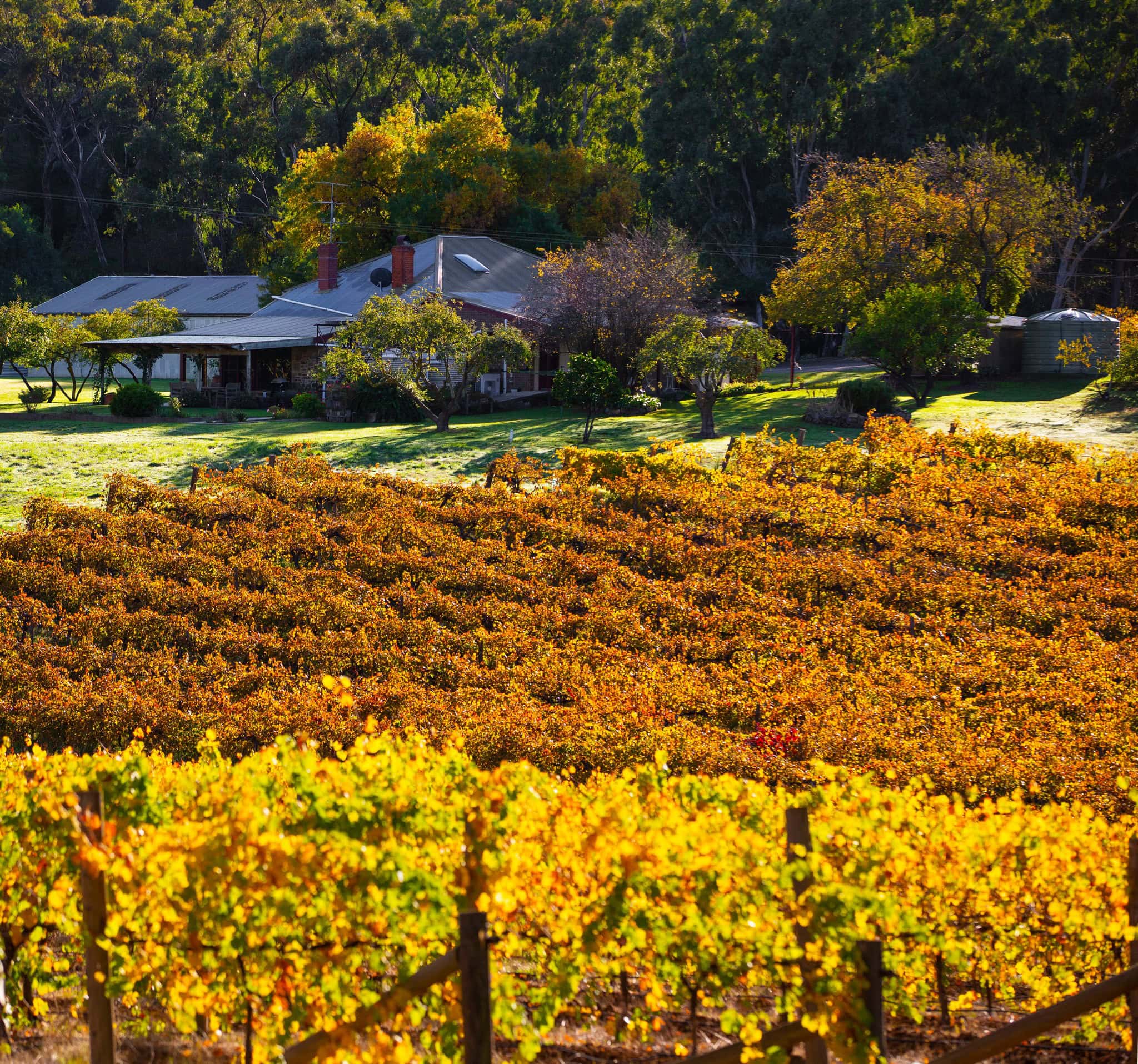 The Best Wineries in Clare Valley | Sitchu Adelaide