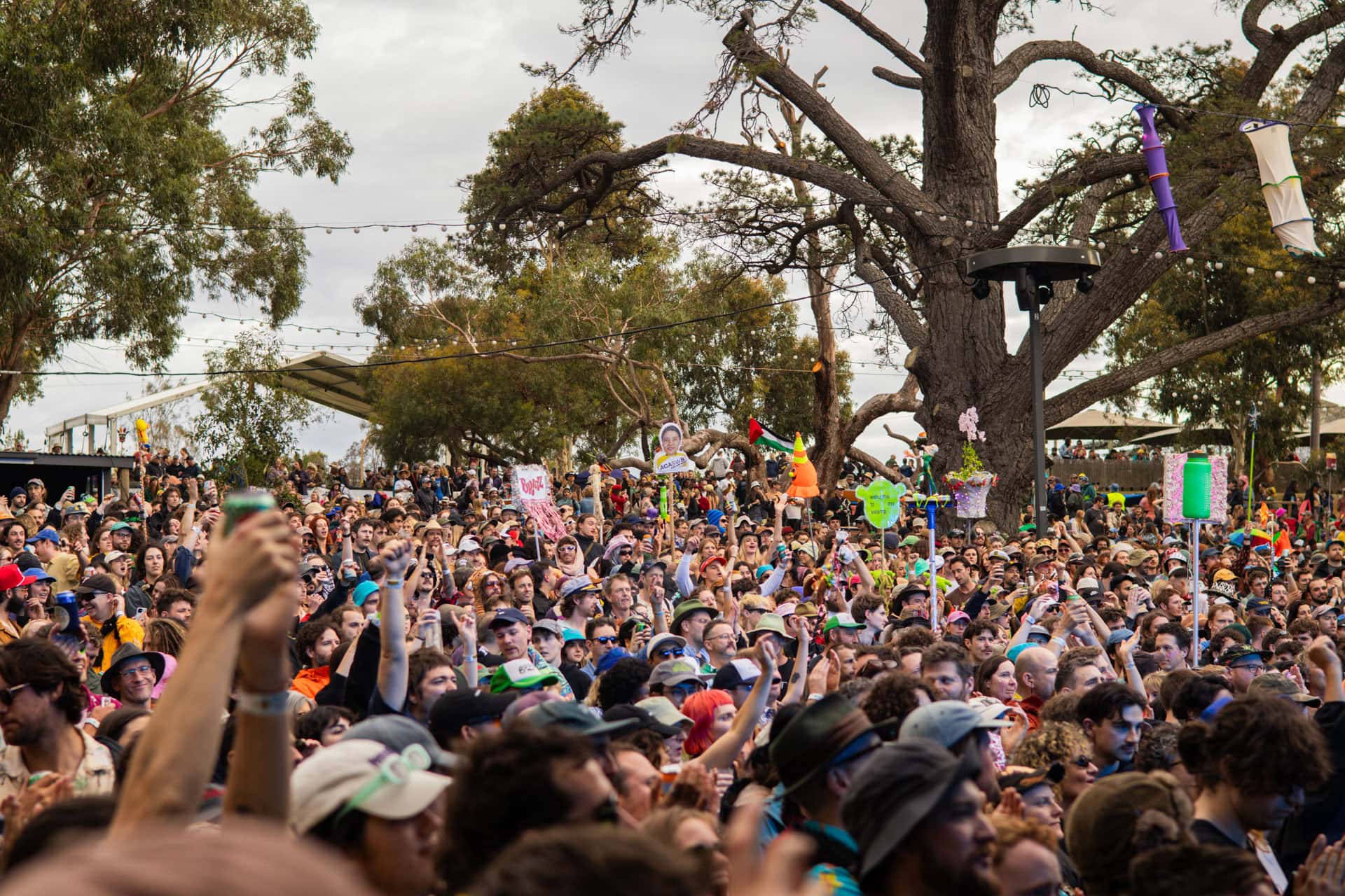 The Best Music Festivals and Tours in Victoria | Sitchu