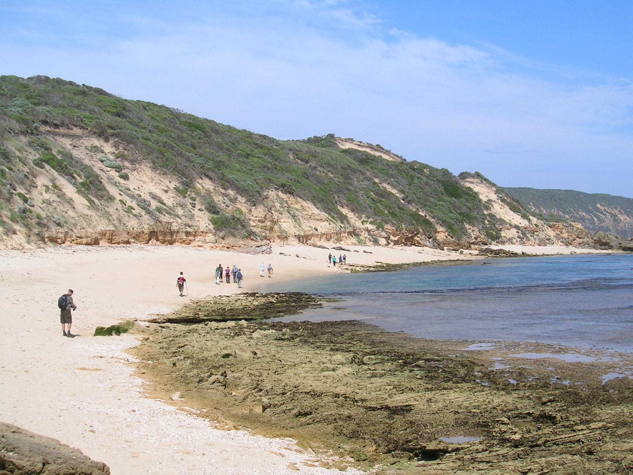 The Best Walks in Mornington Peninsula for a Dreamy Stroll