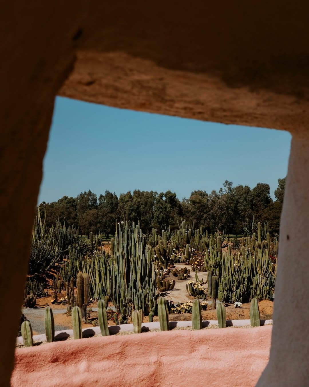 The Best Gardens in Melbourne & Victoria | Sitchu