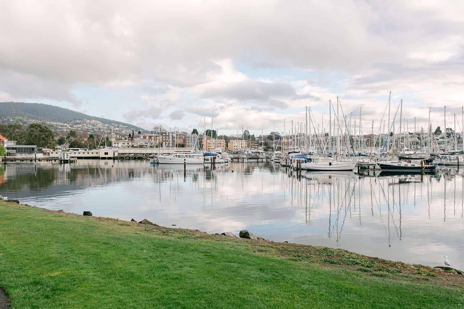 Sandy Bay Suburb Profile | Sitchu