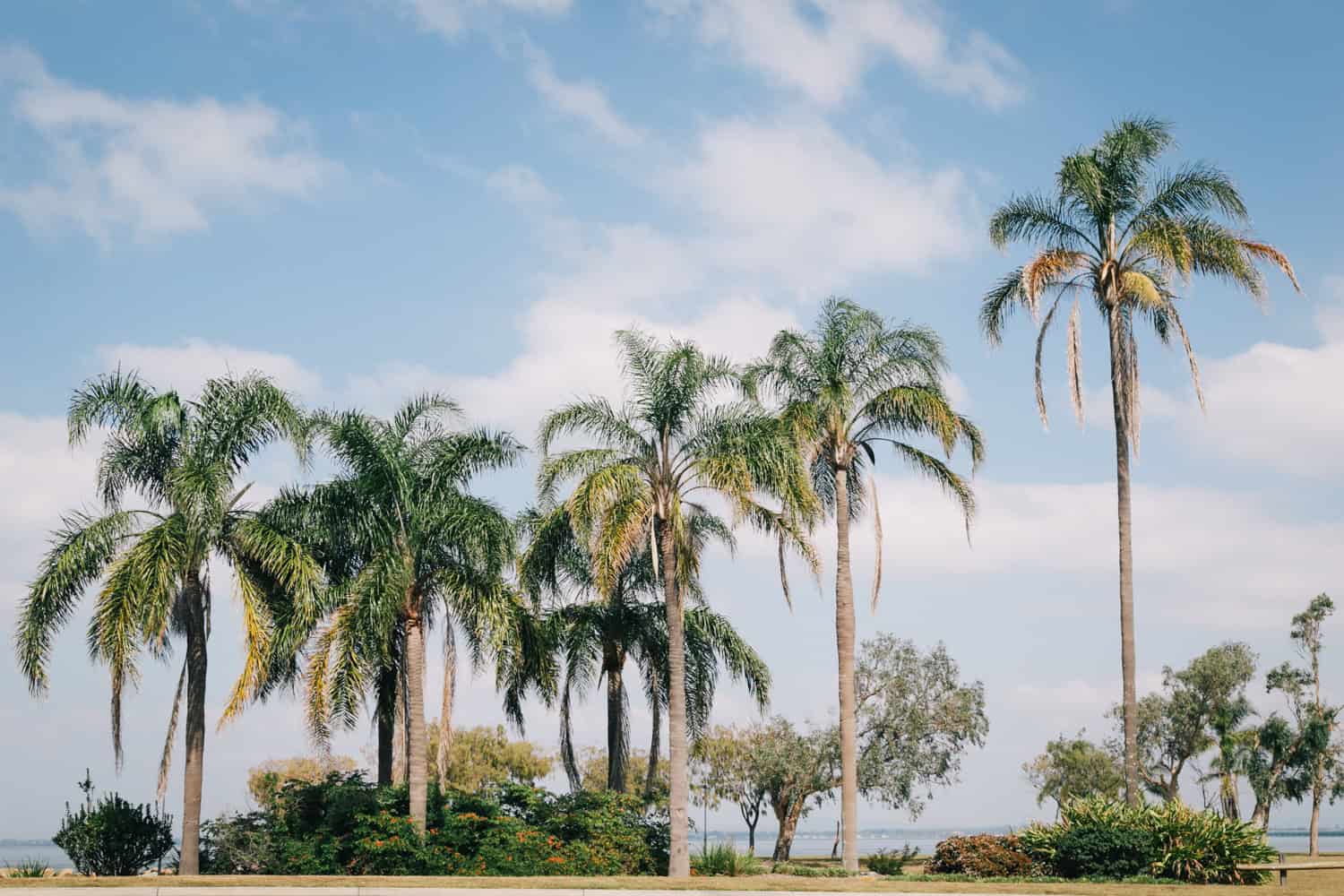 Redcliffe Peninsula Suburb Profile | Sitchu
