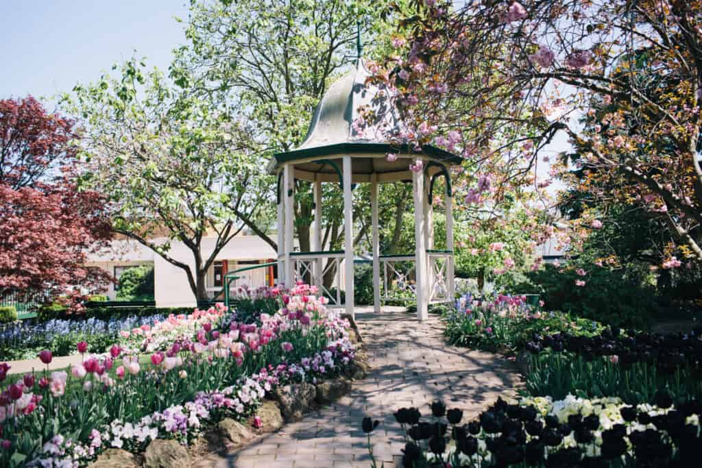 Bowral Suburb Profile | Sitchu