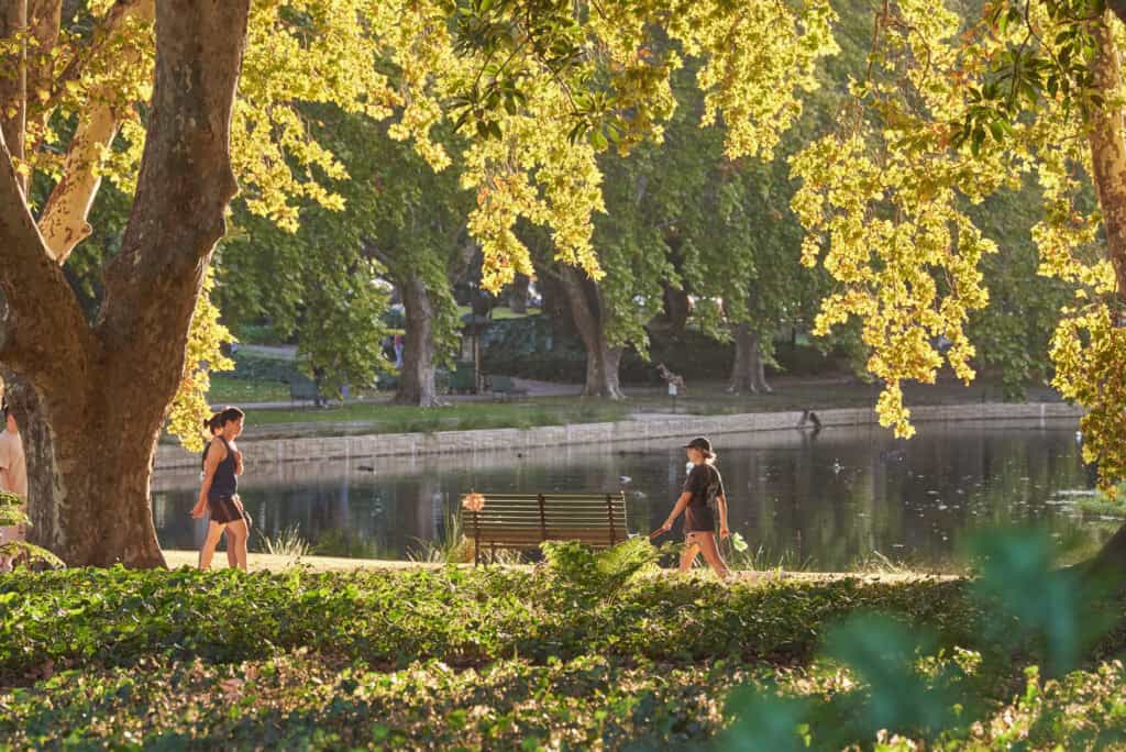 Inglewood Suburb Profile | Sitchu