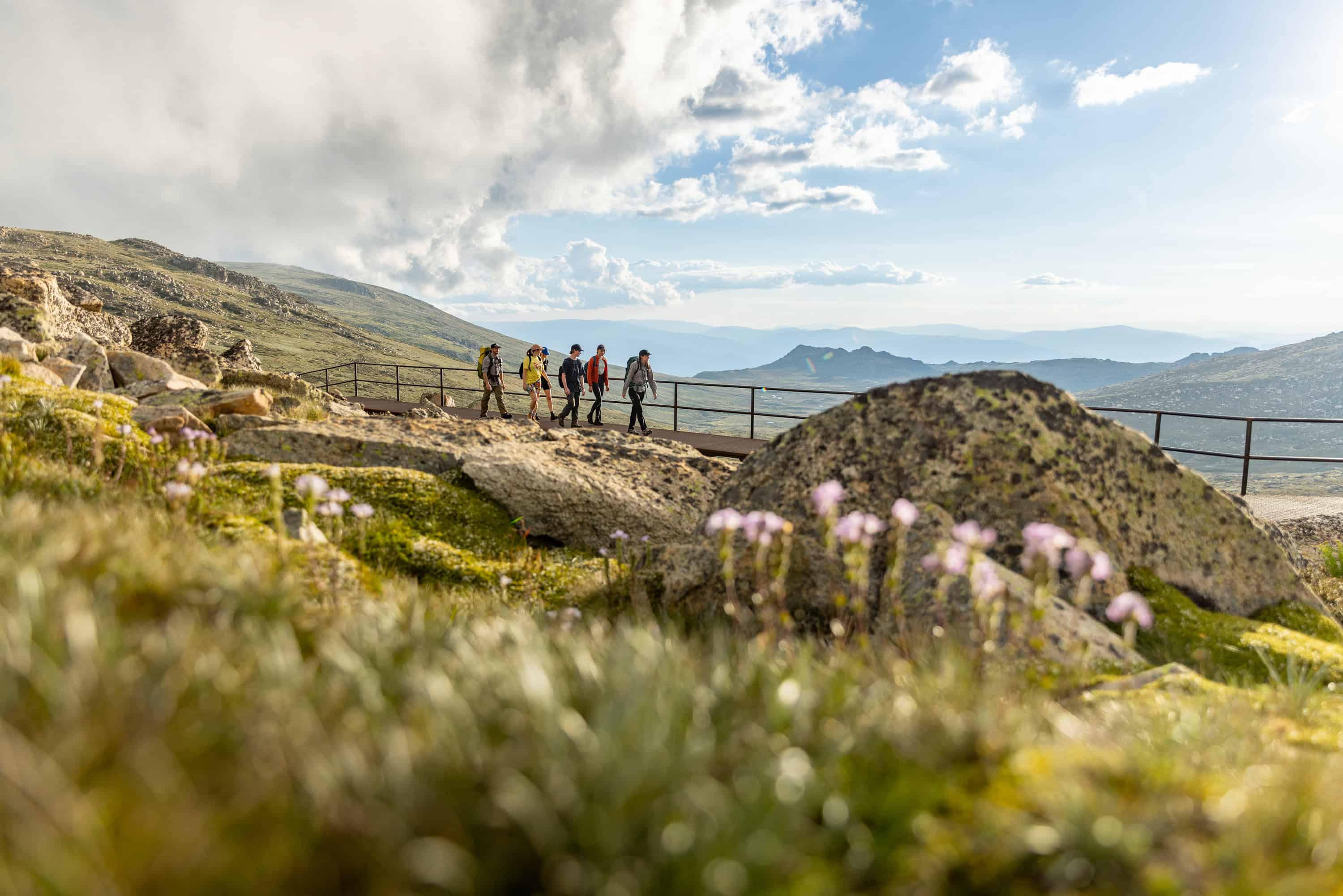 The Ultimate Itinerary For Thredbo In Summer | Sitchu