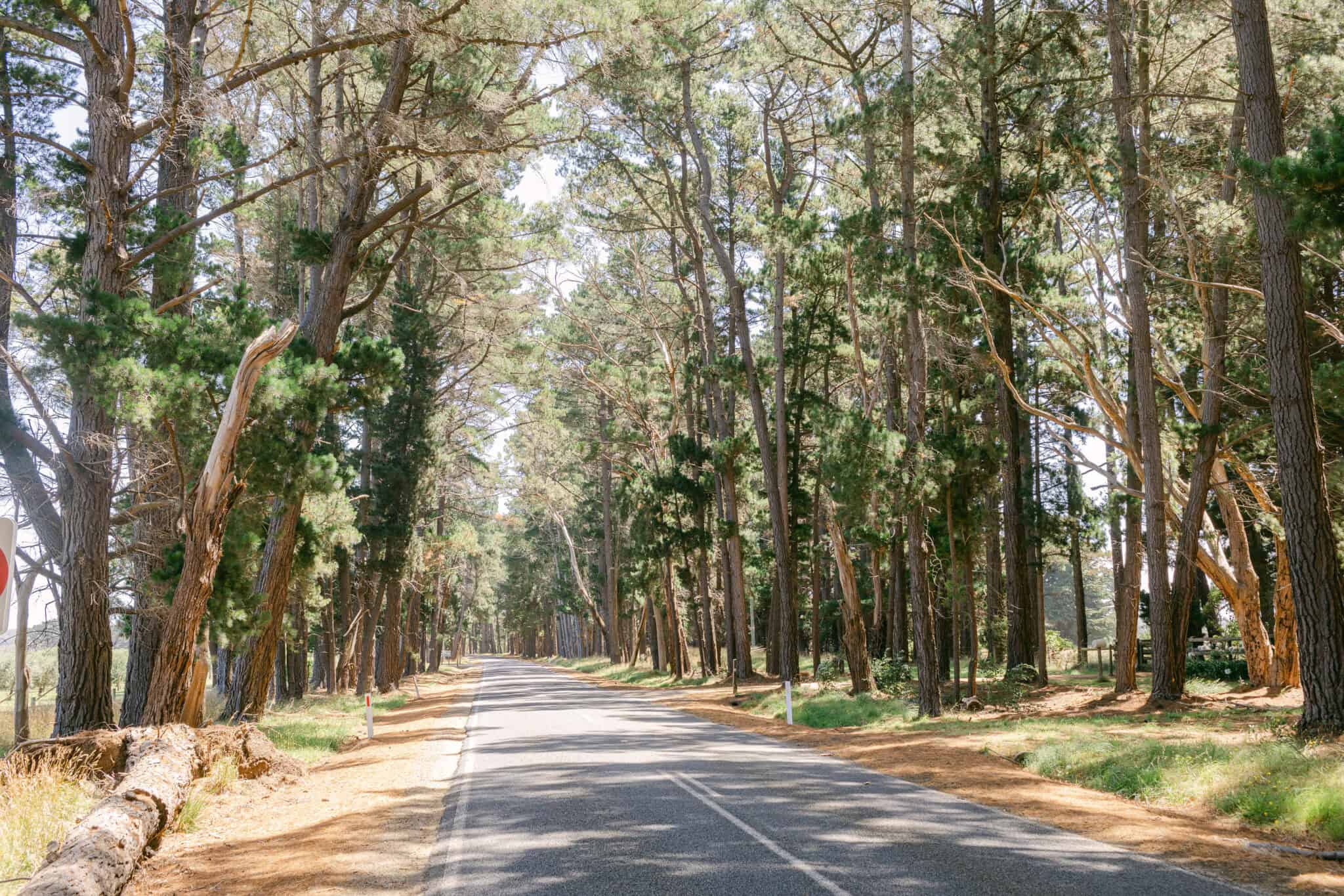 Australia's Summer Destinations in the Off-Season