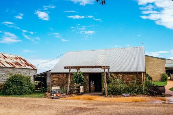The Best Wineries in Tasmania for a Vine-Filled Day Out