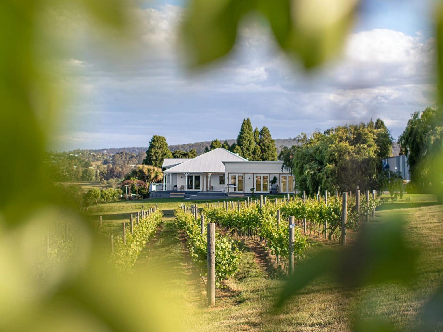 The Best Wineries in Tasmania for a Vine-Filled Day Out