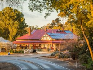 Where to See the Most Gorgeous Autumn Leaves in Australia | Sitchu