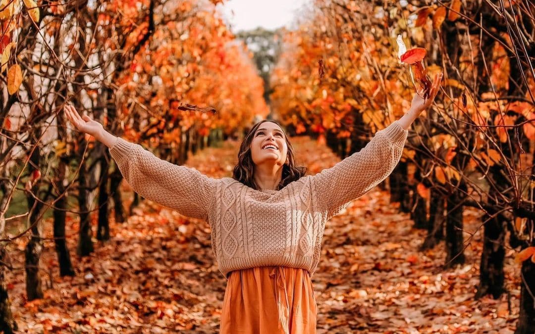 Where to See the Most Gorgeous Autumn Leaves in Australia | Sitchu