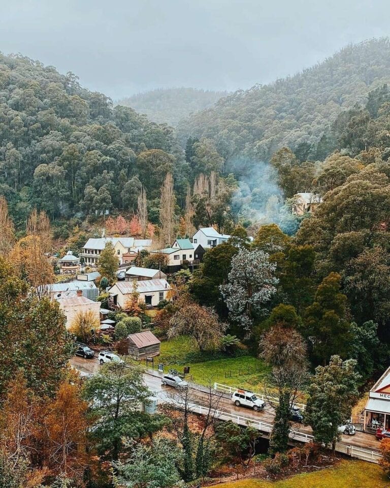 Where to See the Most Gorgeous Autumn Leaves in Australia | Sitchu