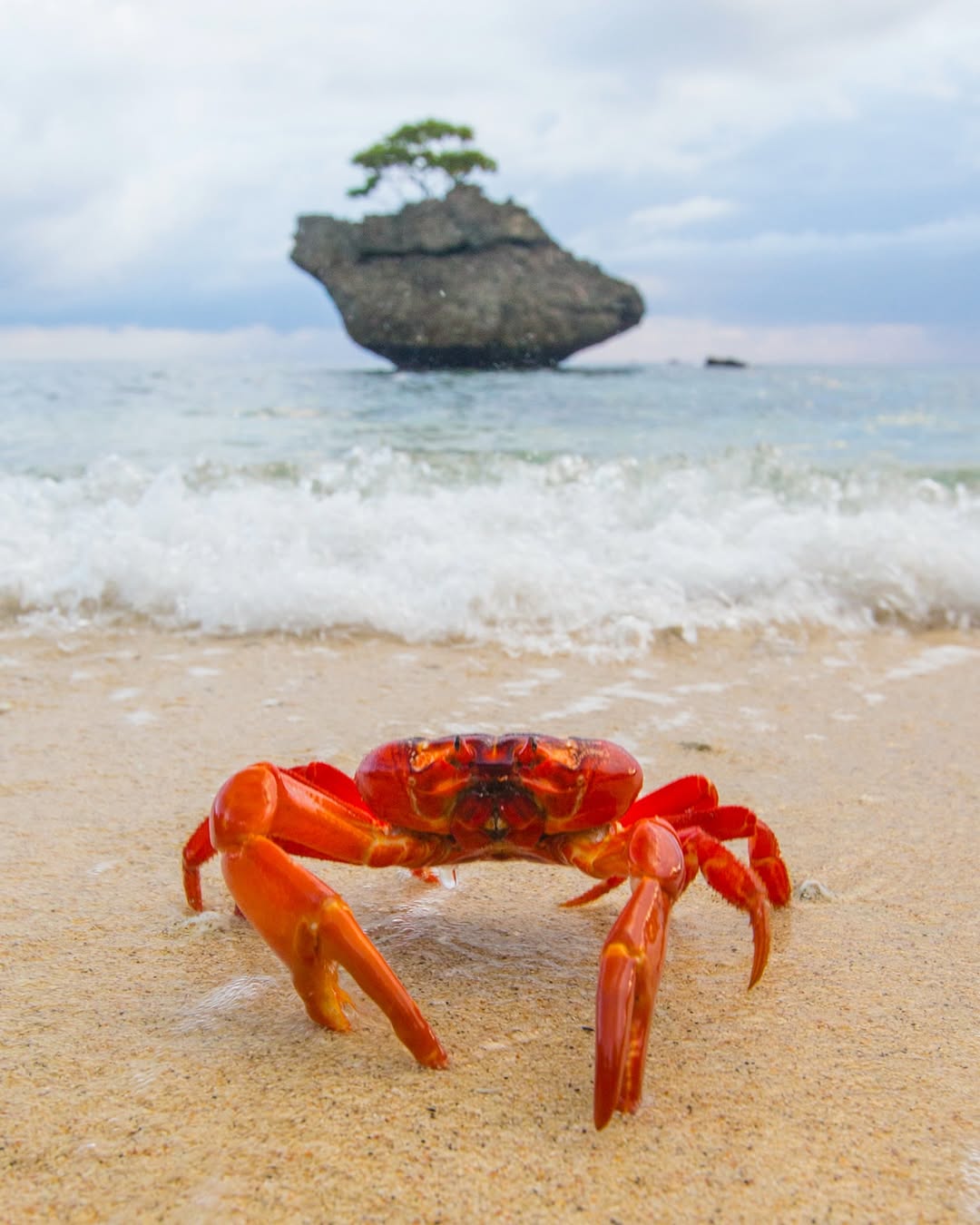 WA's Hidden Islands: Discovering Paradise Just Off the Coast | Sitchu