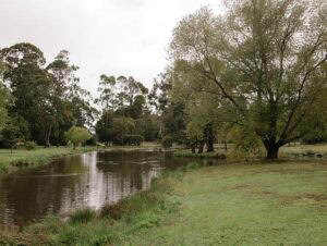 A Dreamy Guide to the 'Top Tiny Town' of Trentham | Sitchu