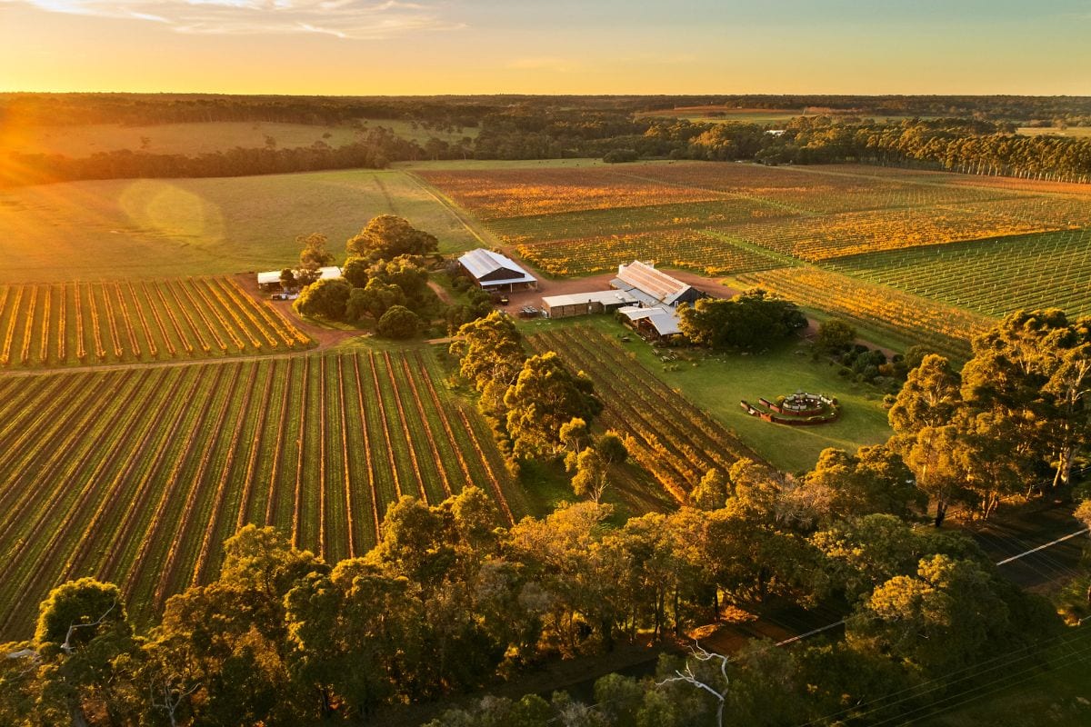 What's On in Perth This Month | Sitchu