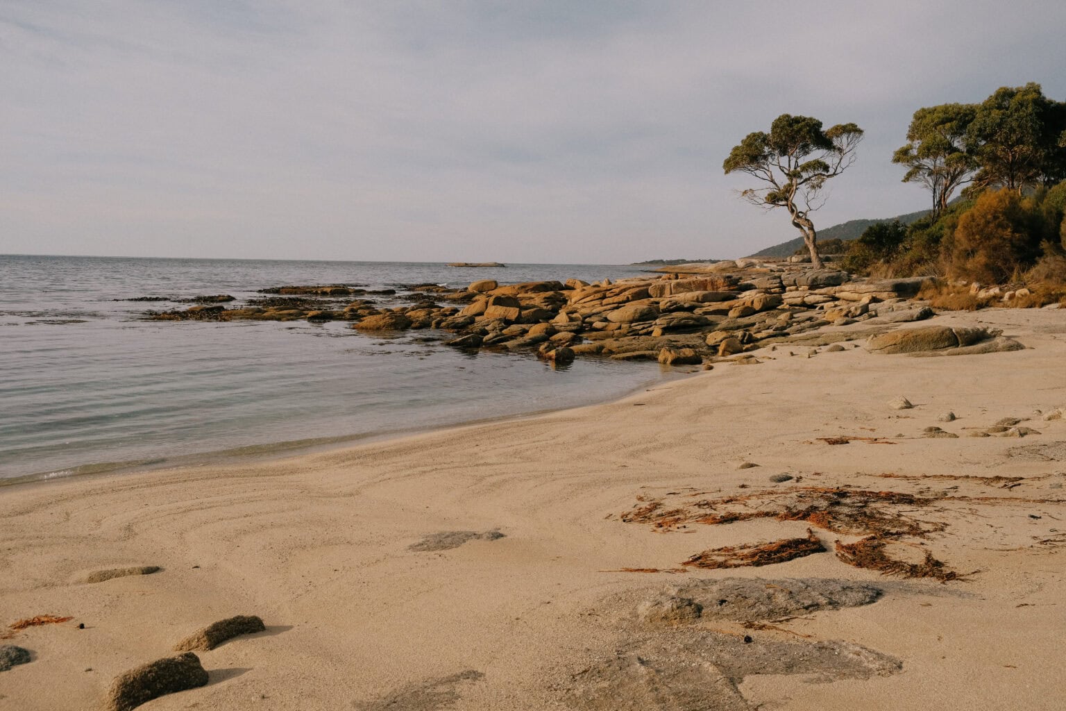 Coastal Daze: Our Dreamy Pocket Book Guide to Bicheno | Sitchu