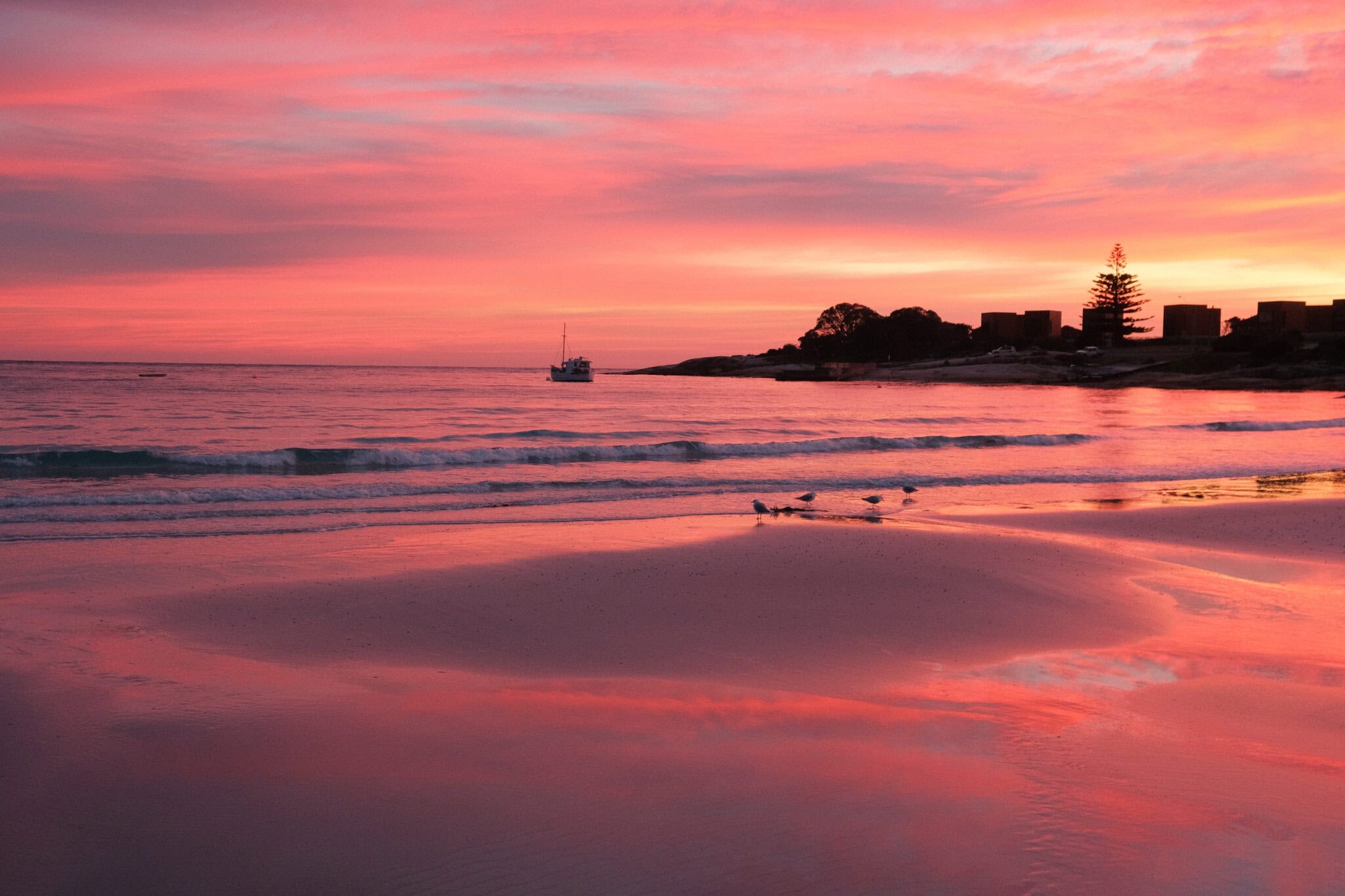 Coastal Daze: Our Dreamy Pocket Book Guide to Bicheno | Sitchu