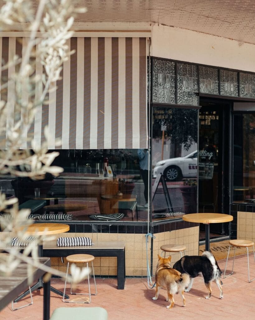 The Best Coffee in Perth for Your Daily Buzz