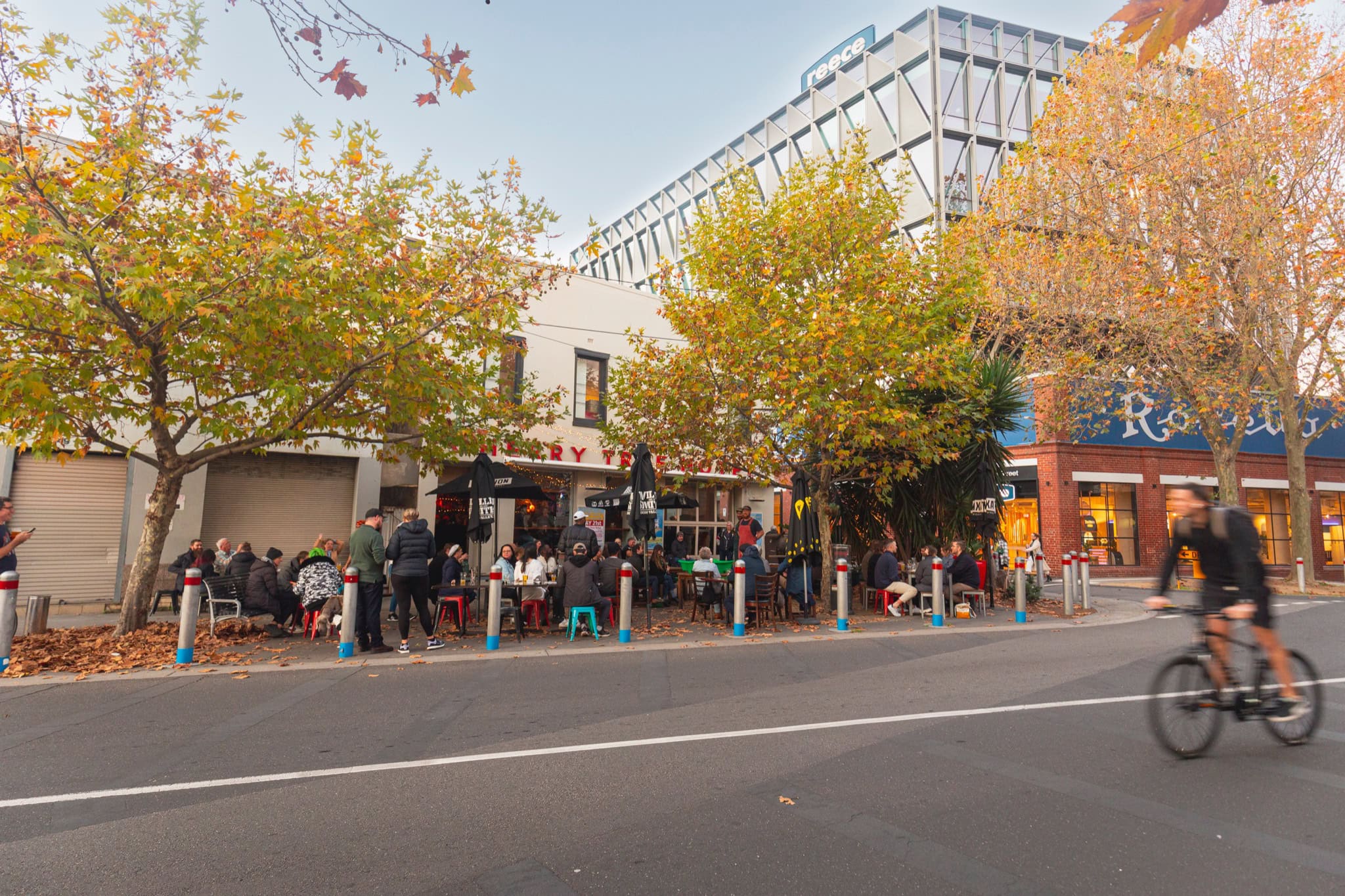 Discover Cremorne: Melbourne’s Best-Kept Secret | Sitchu